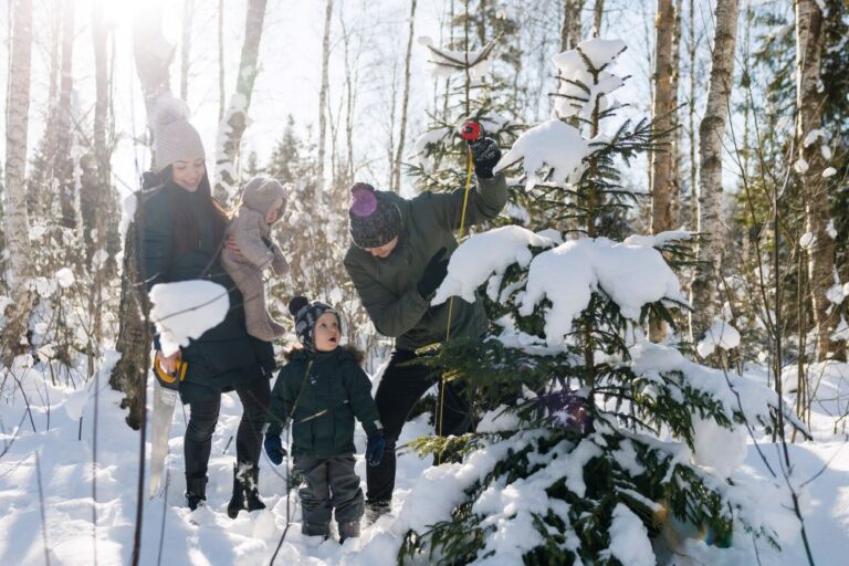 Kuidas riigimetsast kuuske tuua – Mulgi Vald